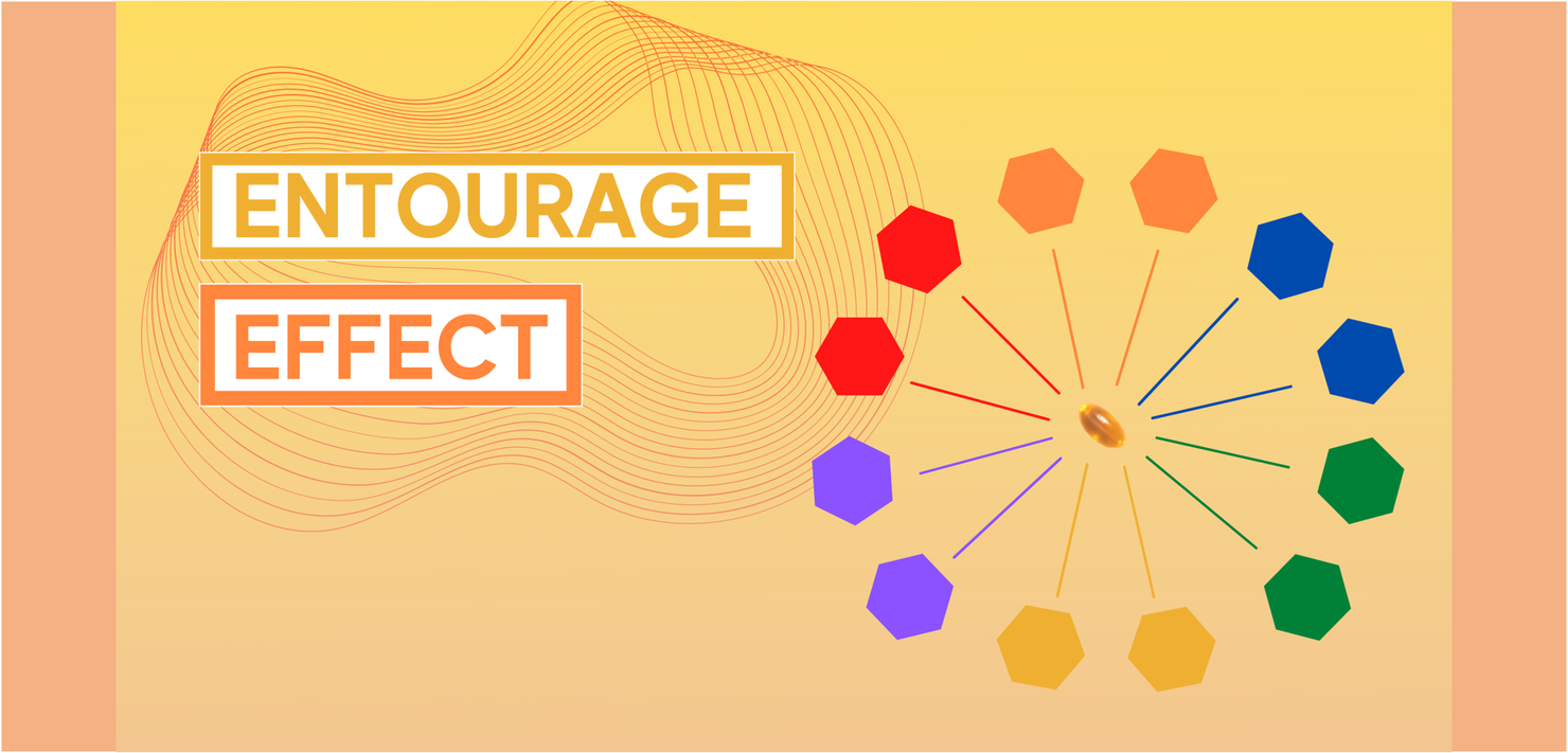 What is the Entourage Effect and Its Importance for CBD